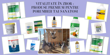 Porumbei Sanatosi : Produse columbofile , Tratamente porumbei
